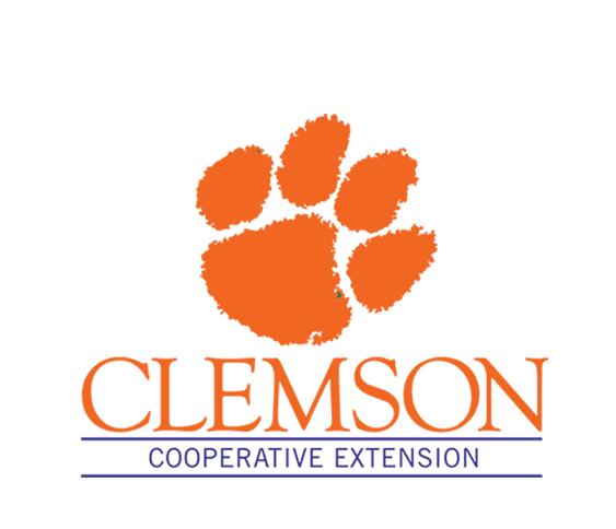 About – South Carolina Center for Cooperative & Enterprise Development